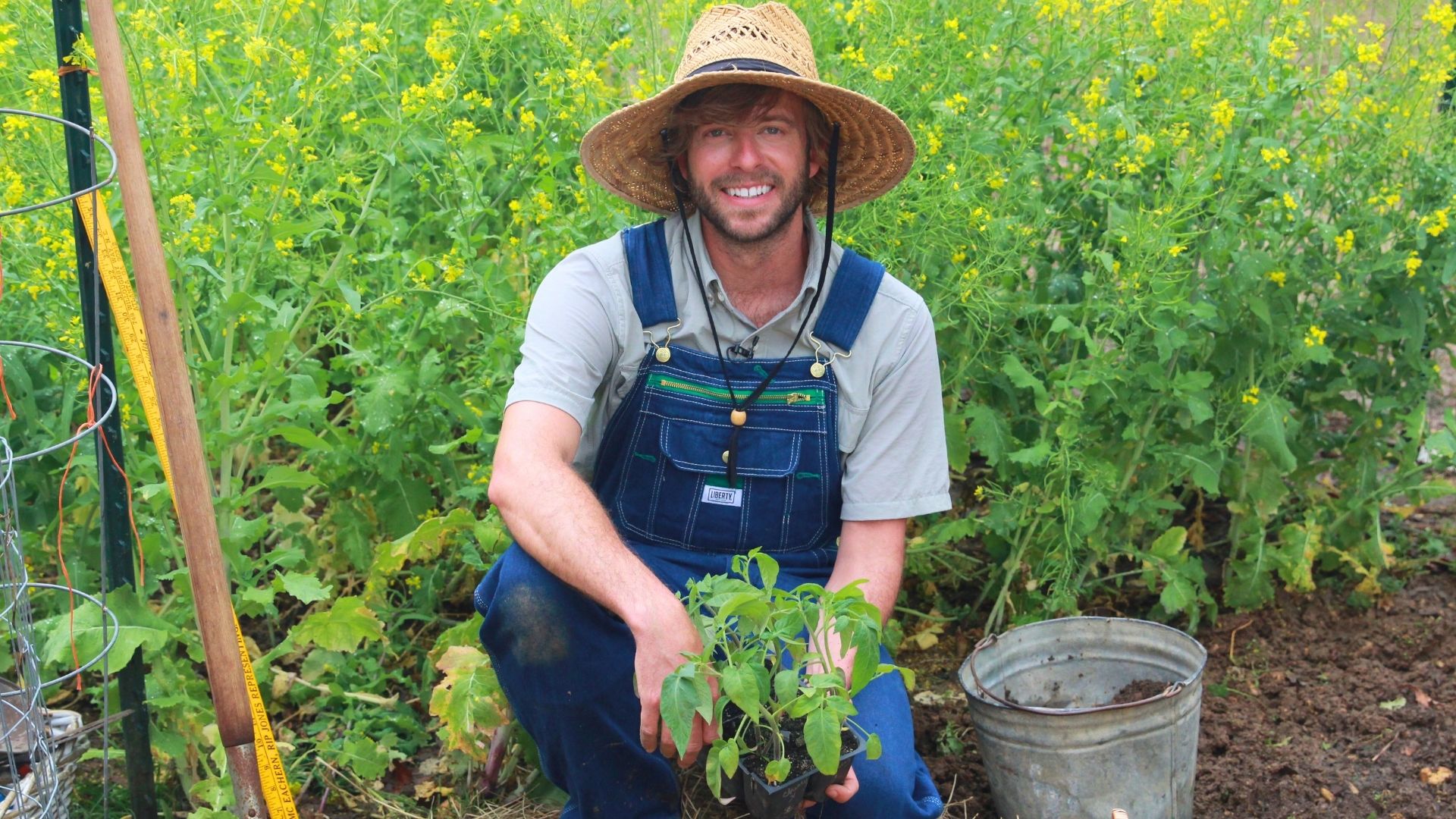 How to Grow and Care for Tomato Plants | Gardening 101 - Alabama Public ...